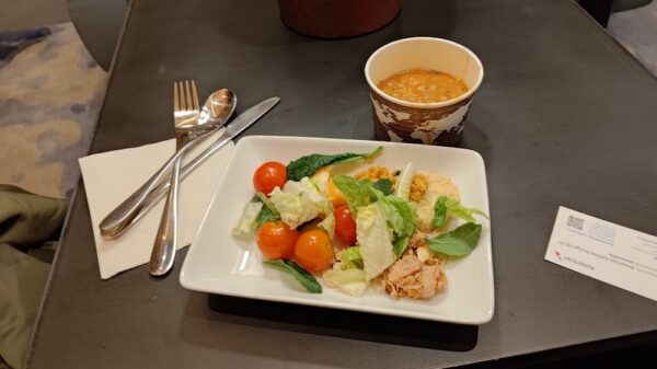 DCA E gates American Airlines Admirals Club lounge - Fly for Points