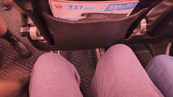 How Great is Japan Airlines Domestic Economy Class? - Fly for Points